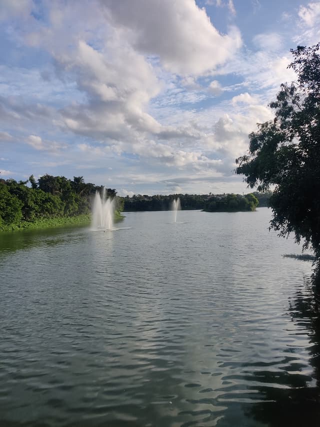 Allalasandra Lake – Lake in Yelahanka, Bangalore | Timings, Entry Fee ...