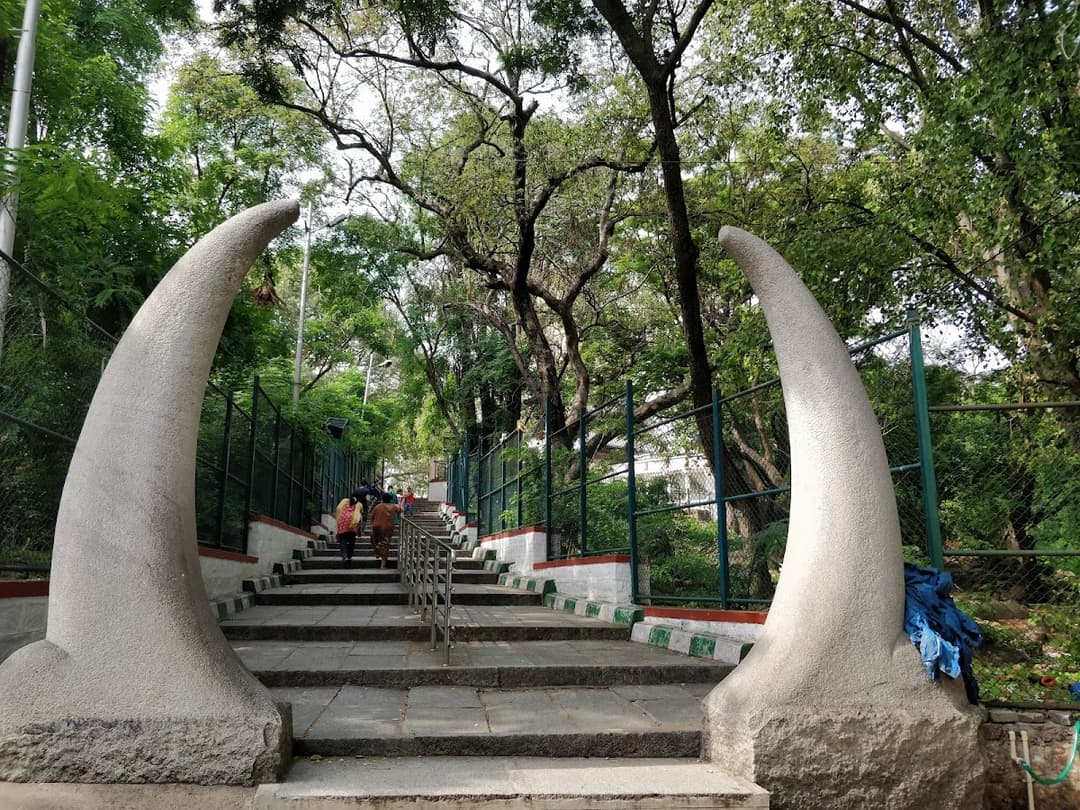 Bugle Rock Park – Heritage in Basavanagudi, Bangalore | Timings, Entry ...