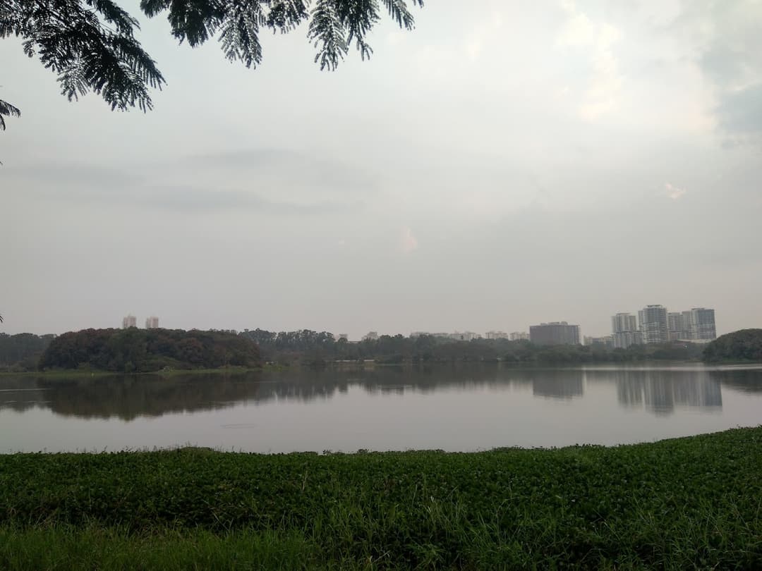 Sankey Tank – Lake in Malleshwaram, Bangalore | Timings, Entry Fee & Guide