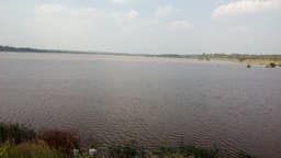 Hesaraghatta Lake – Lake in Hesaraghatta, Bangalore | Timings, Entry ...