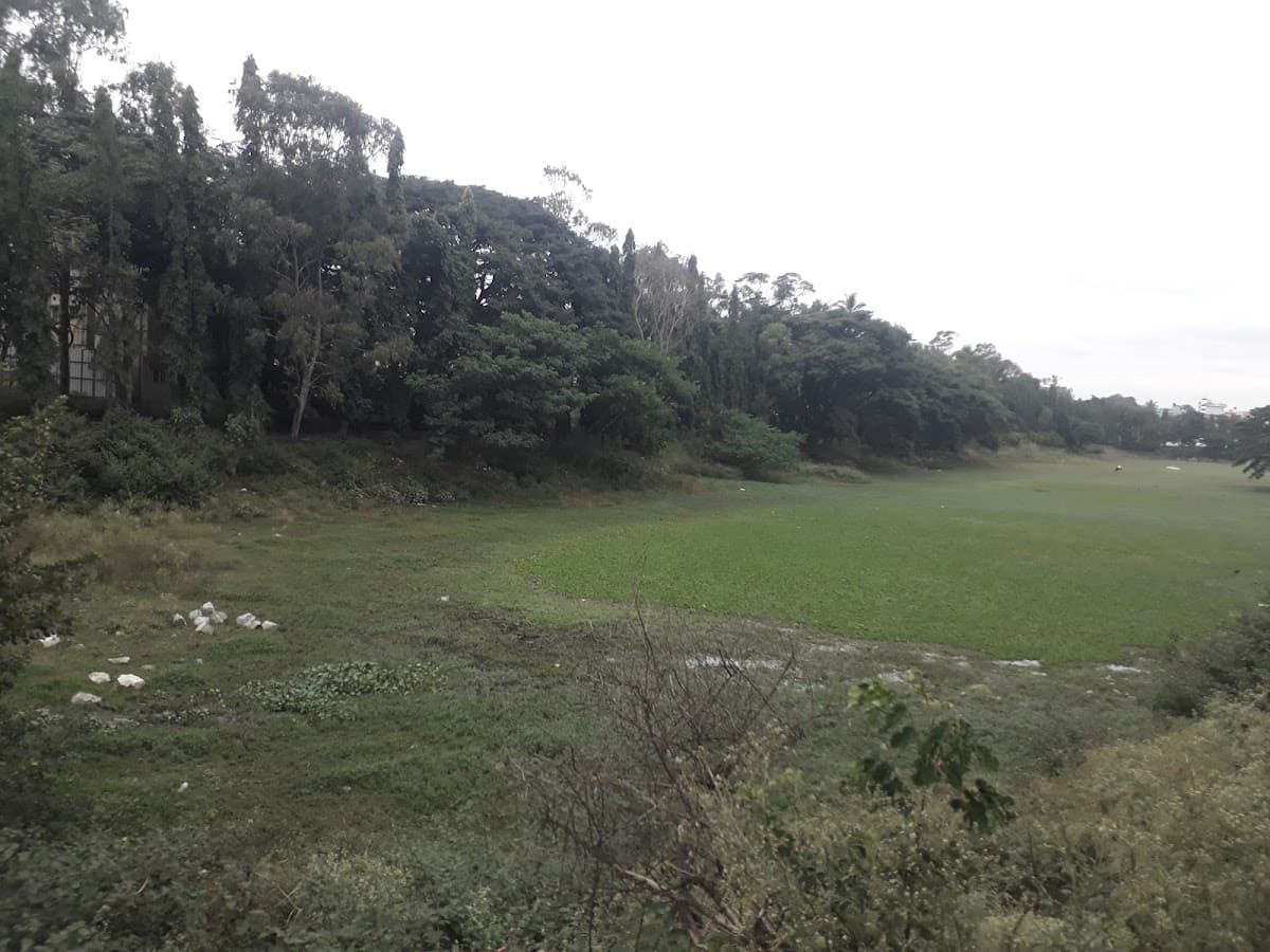 Hesaraghatta Lake – Lake in Hesaraghatta, Bangalore | Timings, Entry ...