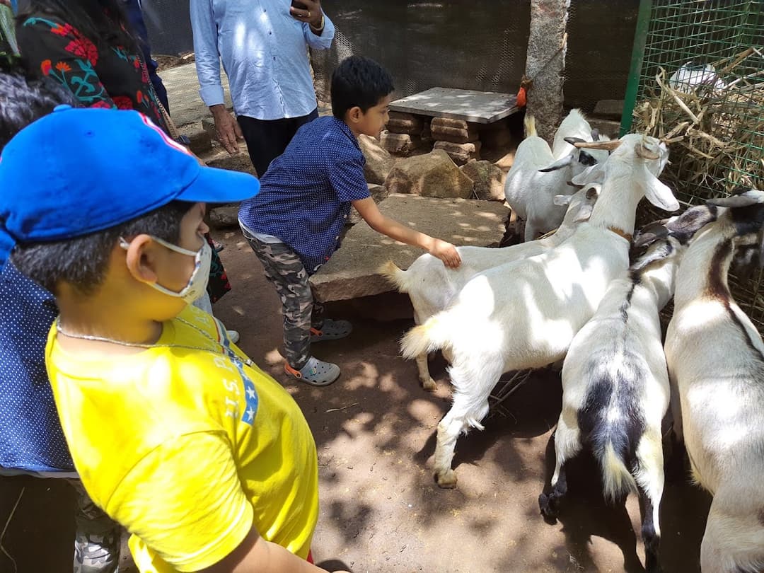 Prani Pet Sanctuary – Wildlife in Somanhalli, Bangalore | Timings ...