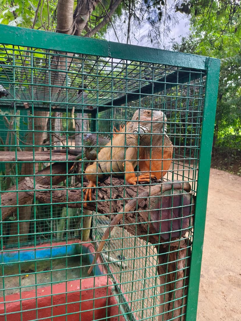 Prani Pet Sanctuary – Wildlife in Somanhalli, Bangalore | Timings ...