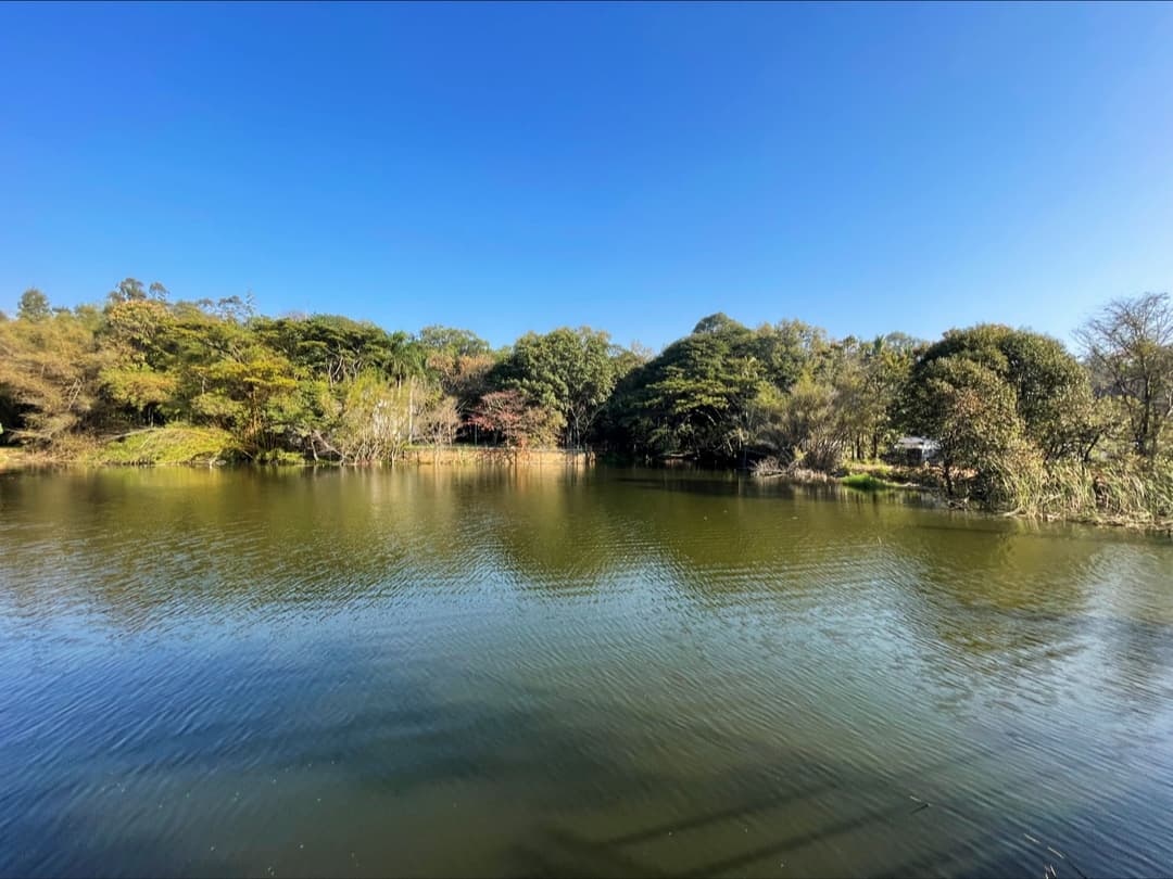 Sankey Tank – Lake in Malleshwaram, Bangalore | Timings, Entry Fee & Guide
