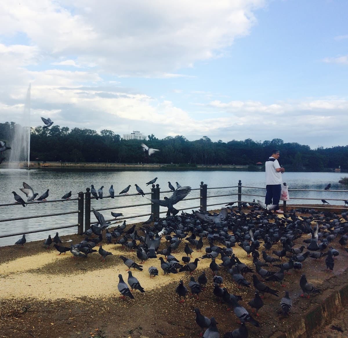 Sankey Tank – Lake in Malleshwaram, Bangalore | Timings, Entry Fee & Guide